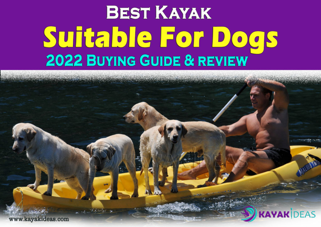Types of Kayaks are Suitable for Dogs in 2026 - Kayak Idea