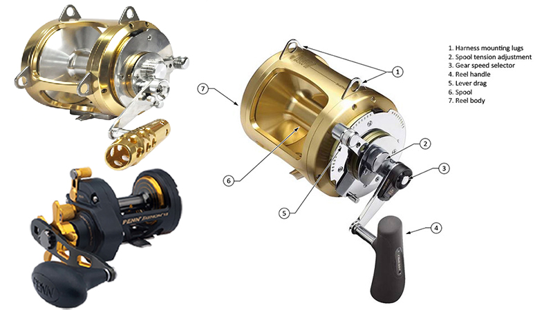 10 Best Conventional Reels for Bottom Fishing Buying Guide and Review ...